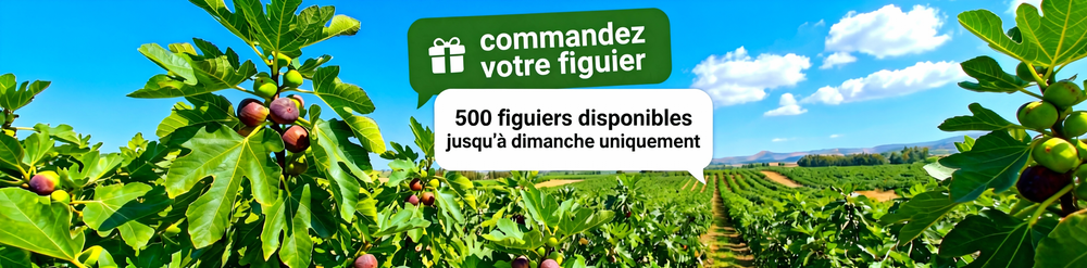 Frutopy : le cadeau original qui plante un arbre pour la vie