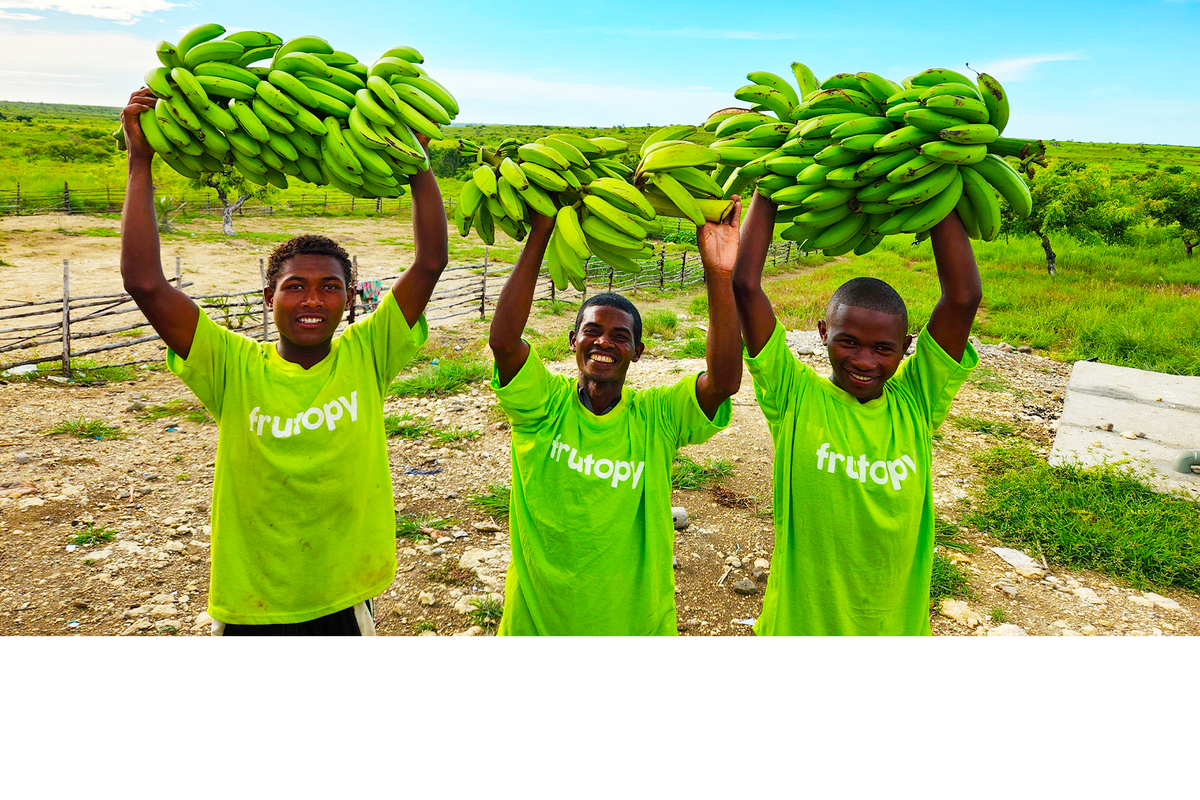 Frutopy : le cadeau original qui plante un arbre pour la vie