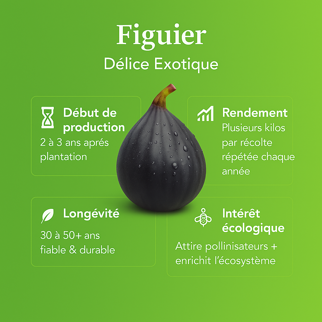 Frutopy : le cadeau original qui plante un arbre pour la vie